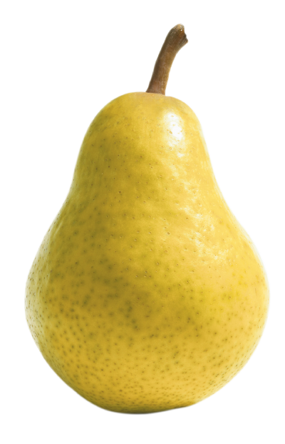 California Pears – America’s First Pear